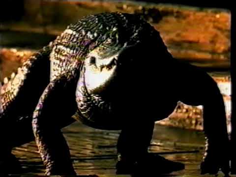 Lubriderm Daily UV - Alligator Ad - 2002 TV Commercial - YouTube