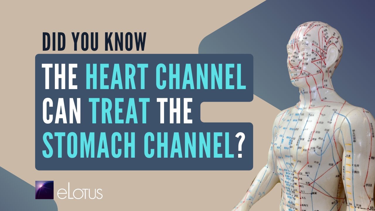 Treat the Stomach Channel with the Heart Channel - Acupuncture Theories ...
