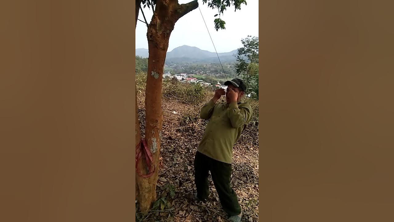 xov xwm kub heev hmoob yuav dai tuag hnub 26.202020 - YouTube