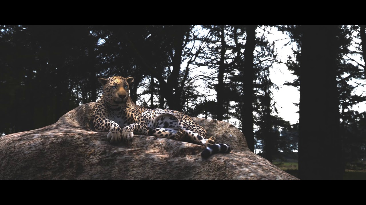 Leopard Animation In Maya - YouTube