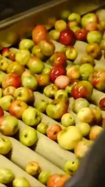 Apple Fizz এ সত্যিই কি আপেল থেকে তৈরি করা হয়🍎 Shortvideo Making
