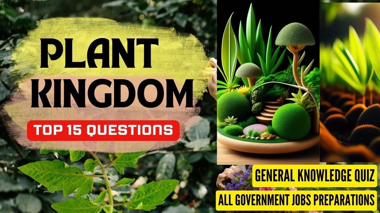 Plant Kingdom | GK Quiz | GK Questions and Answers | Plant Quiz | Quiz ...