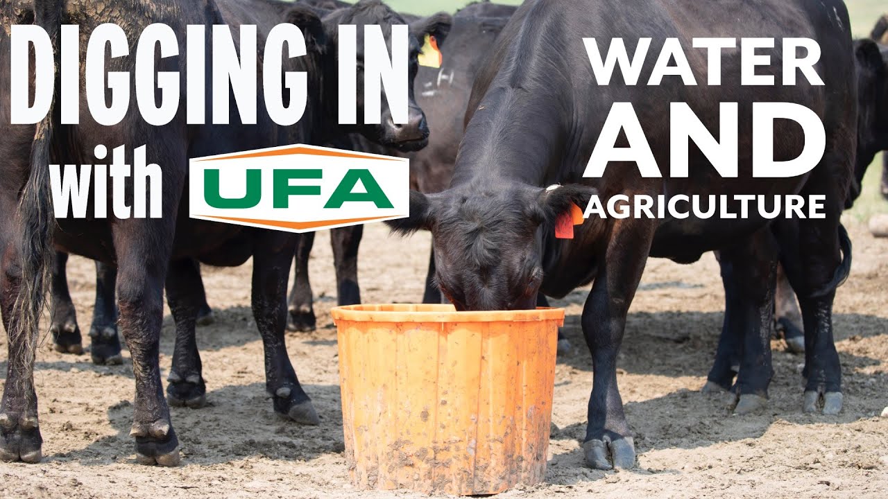Digging in with UFA - Water and Agriculture - YouTube