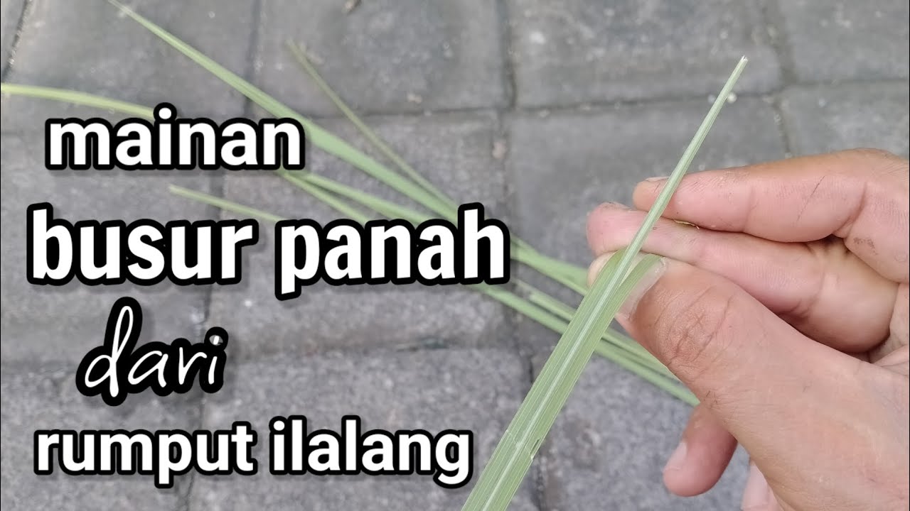 membuat mainan busur panah dari rumput ilalang - YouTube
