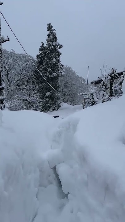 ყოველ დღე ვჭრი გზას კიდე ითოვა დაამატა კაციშვილი დამხამრე არაა