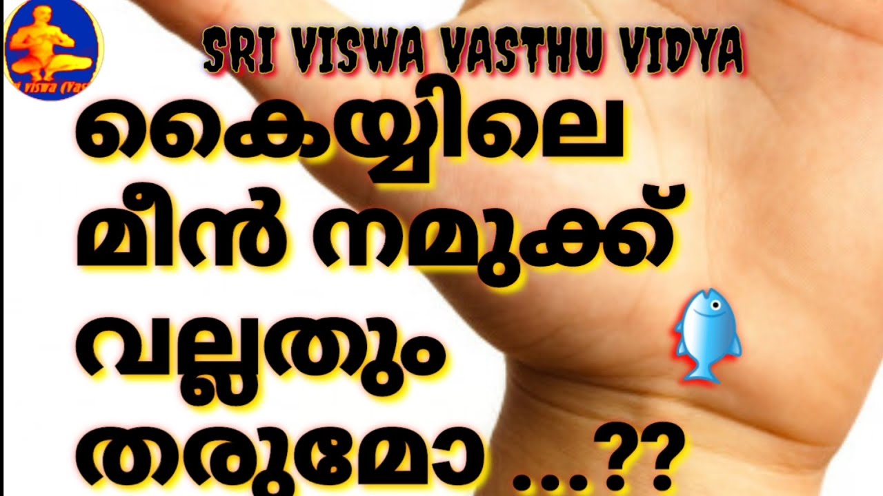 Palmistry || കേതുമണ്ഡലത്തിലെ മീൻ ചിഹ്നം || Fish Sign in Hand || ഹസ്തരേഖ ...