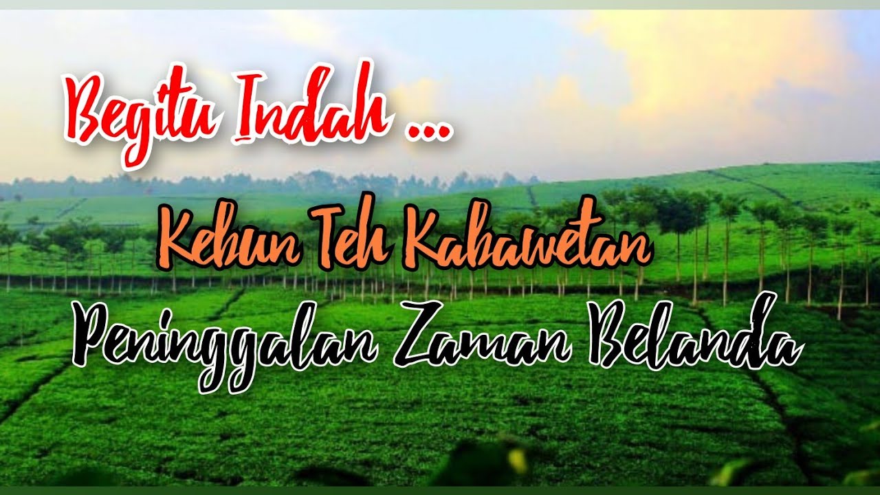 Keindahan Kebun Teh Kabawetan Kepahiang Peninggalan Zaman Belanda ...