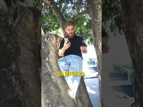 O QUE É A ABIN? COMO ELA FUNCIONA?