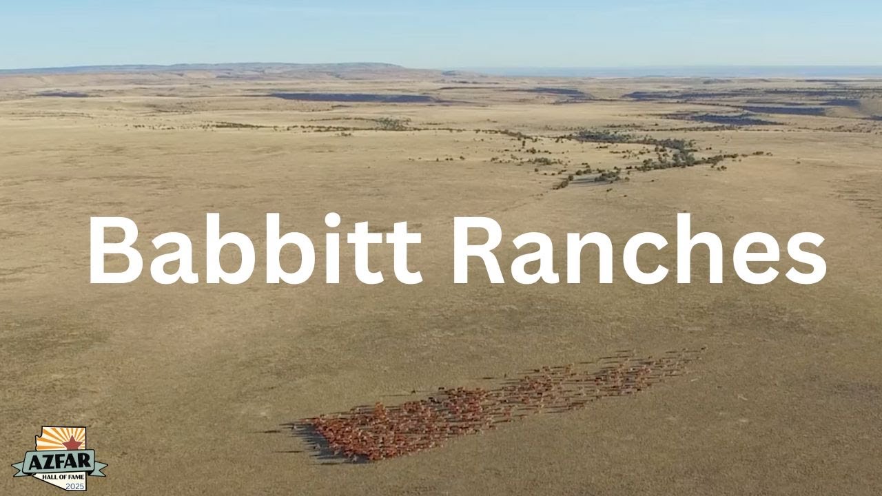 Babbitt Ranches - YouTube