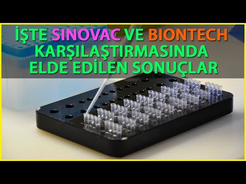 Sinovac ve Biontech'in Karşılaştırmalı Antikor Oranları, Yan Etkileri...