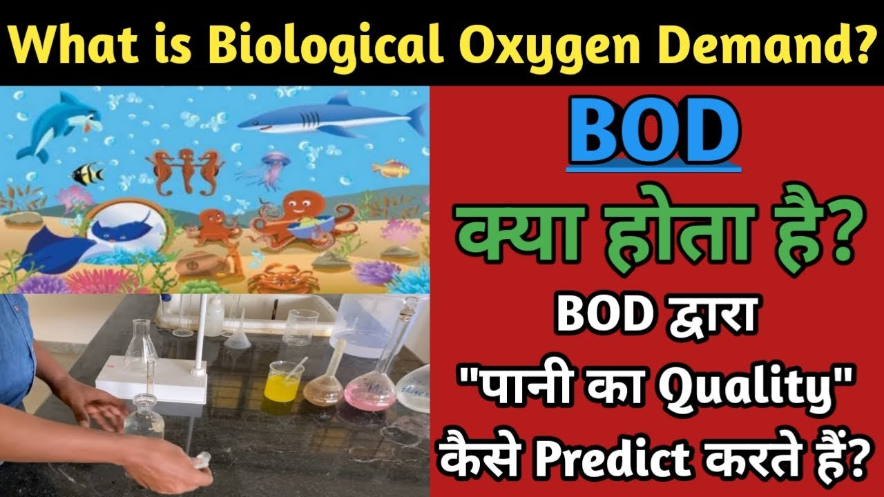 Biological Oxygen Demand | BOD | Calculation of BOD | Significance of ...