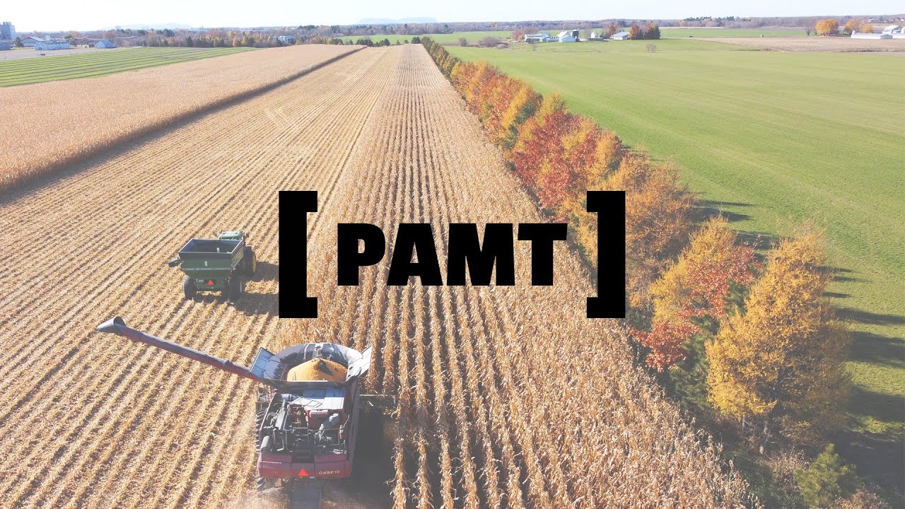PAMT- Agente aux entreprises - YouTube