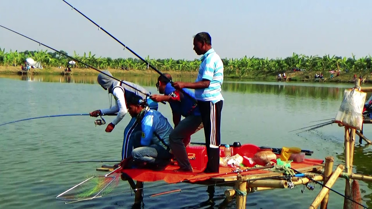 Wonderful Fish Hunting Videos By Fishing Rod - YouTube