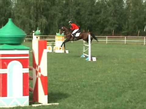Akhal Teke stallion Aloom jumping - YouTube