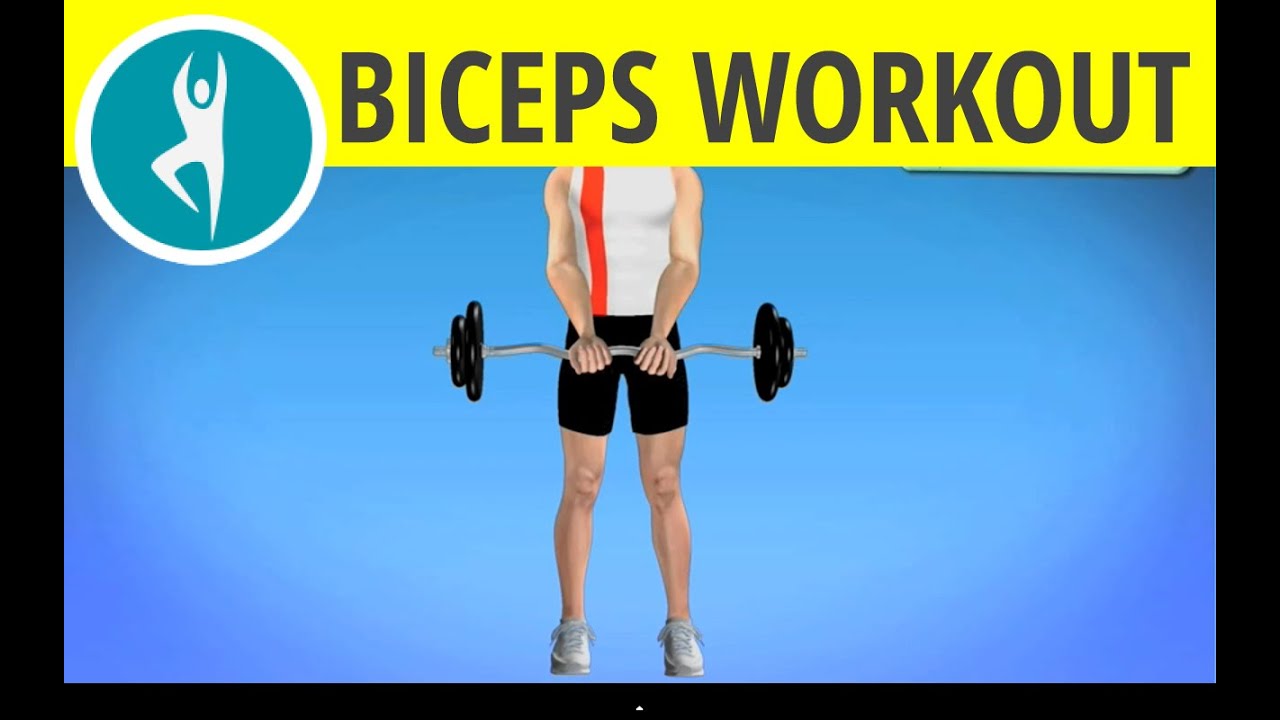 Outer biceps and forearms workout: build arm muscles at home with ...