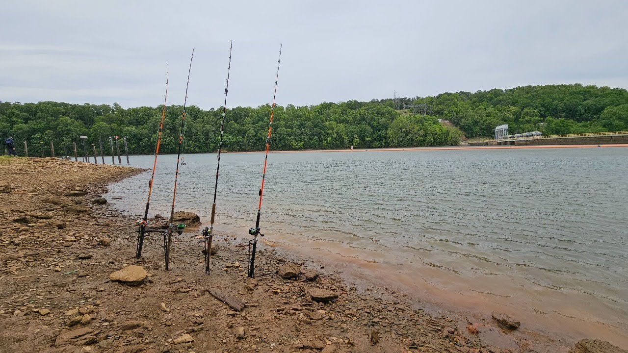 🔴 Daytime Catfishing Leesville Lake! 🔴 - YouTube