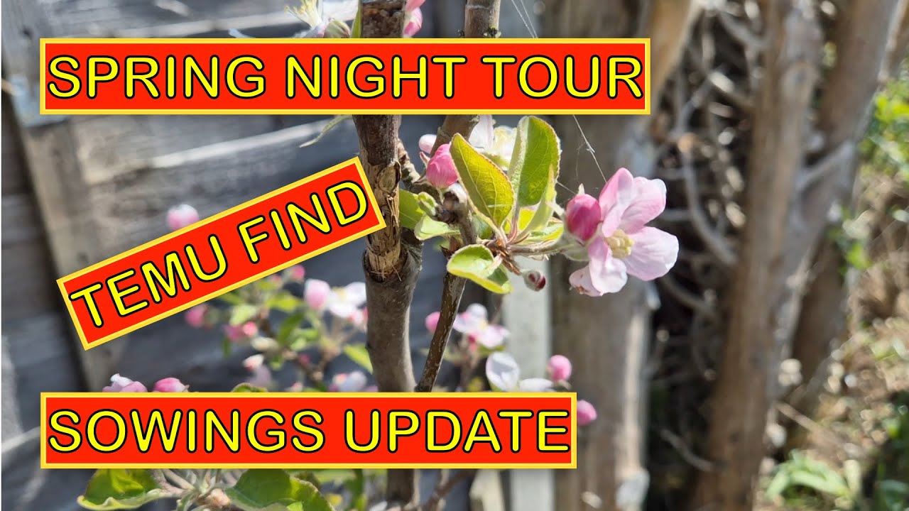 Spring night tour and update 🌱 - YouTube