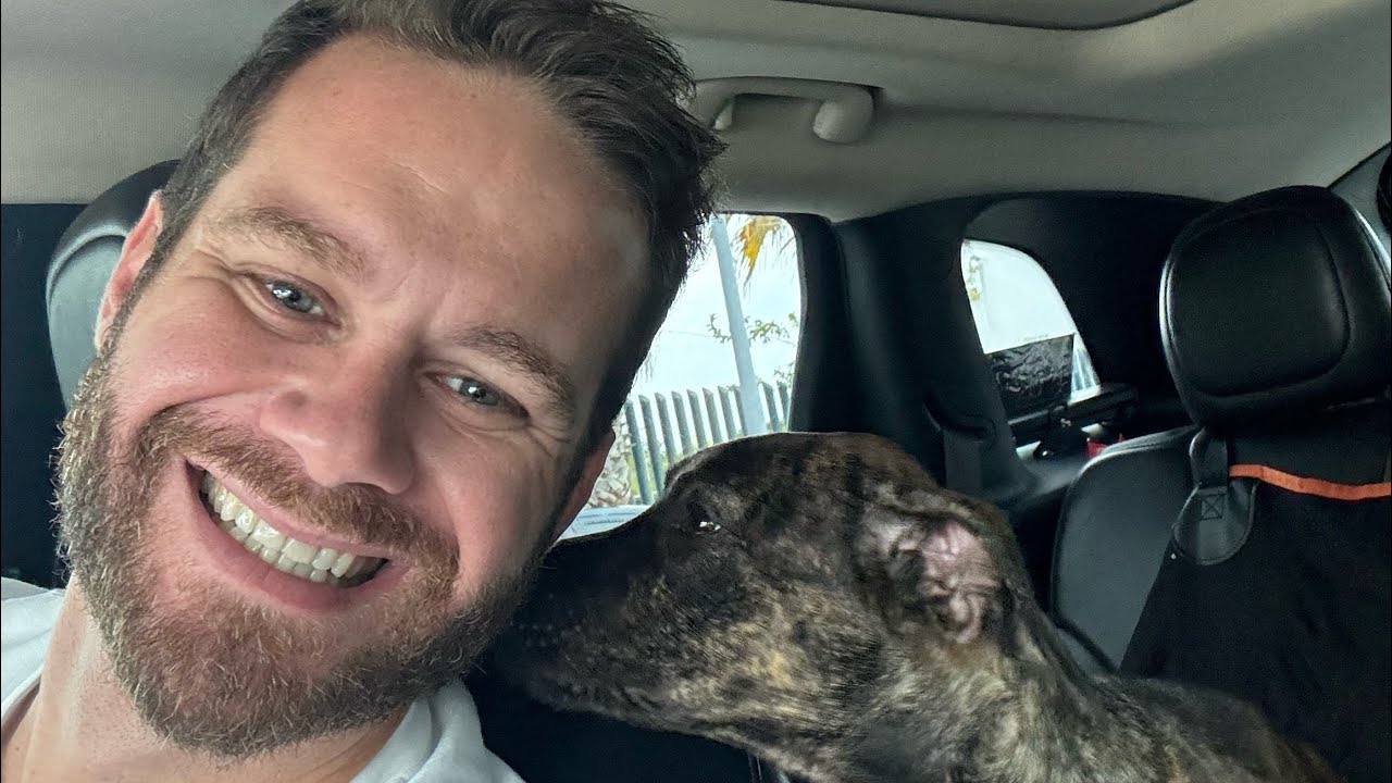 ¿Adoptarías a Rexie 🐶🦖? Escribe a fundacionhuellitasaleman@gmail.com ...