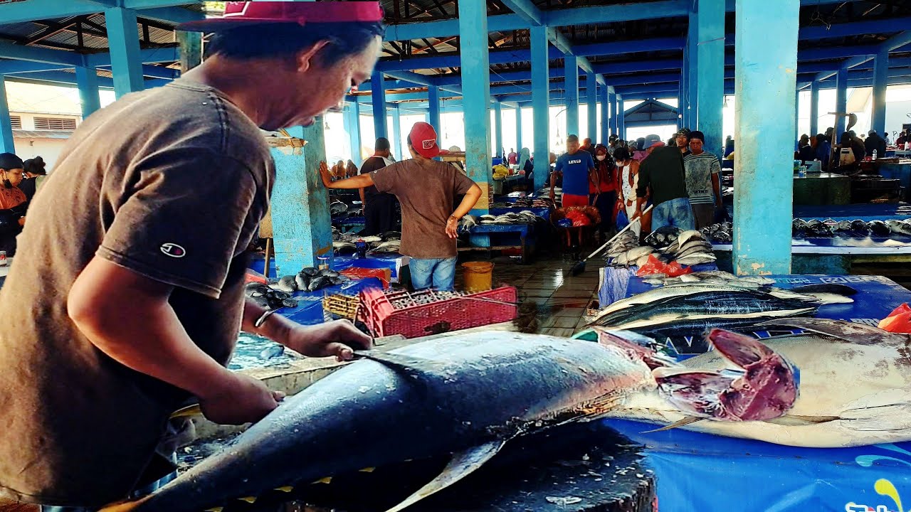 SKILLS🔥TUNA CUTTING‼️ This tuna fish cutting is for the tuna floss ...