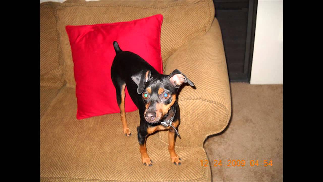 Tribute to Reece - YouTube