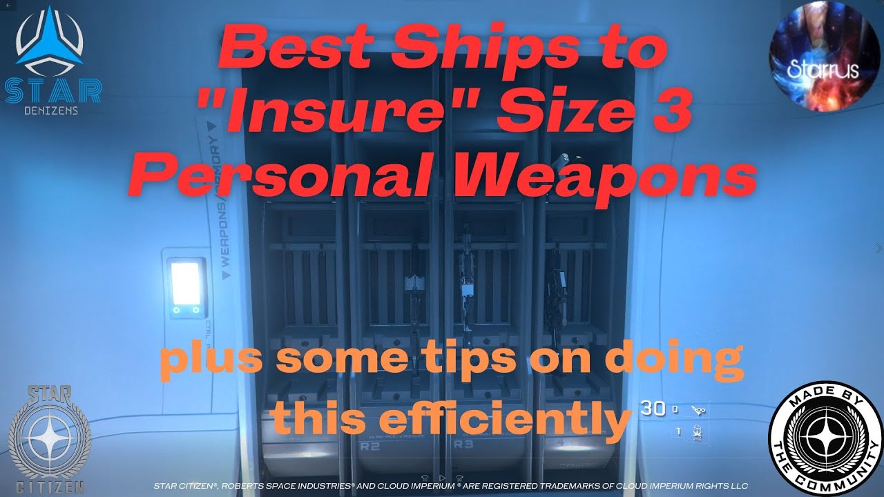 The Three Ships that can "Insure" Size 3 Weapons like the Scourge ...
