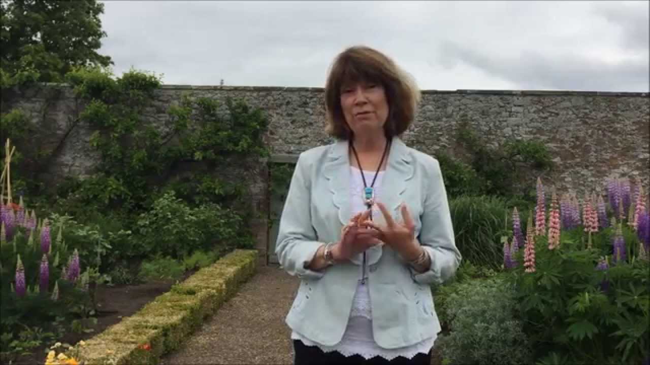 Ann Weisgarber: Advice for young historical fiction writers - YouTube