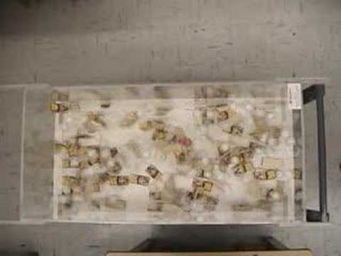Mousetrap reactor (top view slow motion) - YouTube