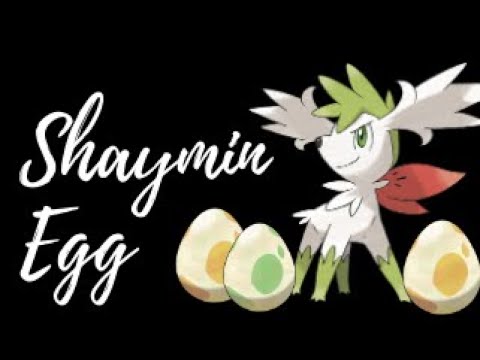 Pokemon Planet - Shaymin Egg | KiniBR - YouTube