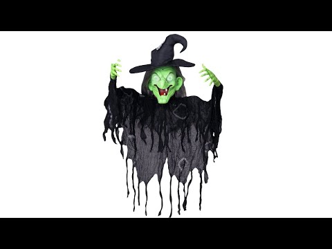 Gemmy Halloween 2006 Shaking Spirits (Witch) (6 Phrases) Audio - YouTube