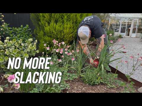 The Garden Chores I Keep Putting Off, It’s So Much Better Now!