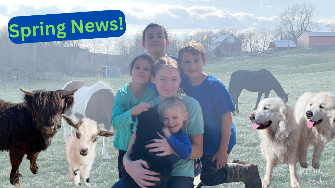 SPRING UPDATE! Lots going on around the farm! Farm videos from a kids ...