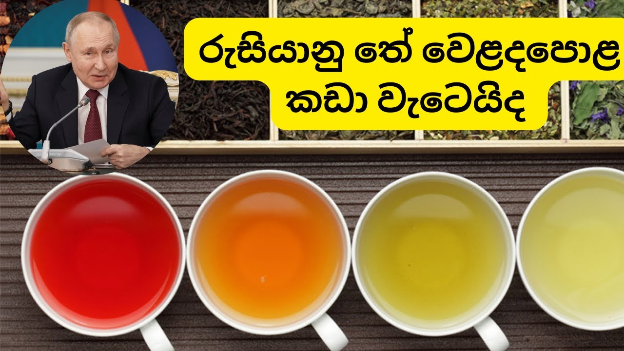 රුසියානු තේ වෙළද පොලට කුමක් වේවිද ? What Happened Russian Tea Market ...