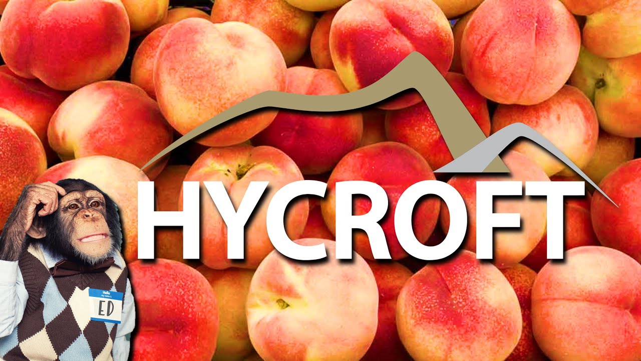 Hycroft Mining Stock Holding Strong Above the GOLDEN Pocket 💪 - YouTube