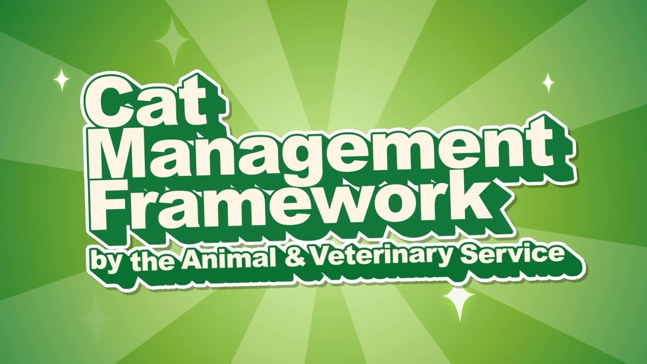 Cat Management Framework (for kids) - YouTube
