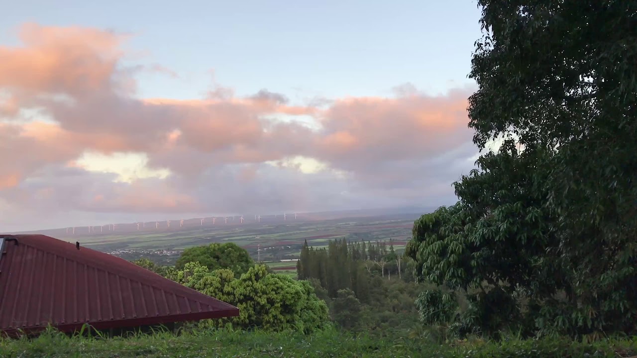Aloha Sunset Nov20.2020 - Ukulele - YouTube