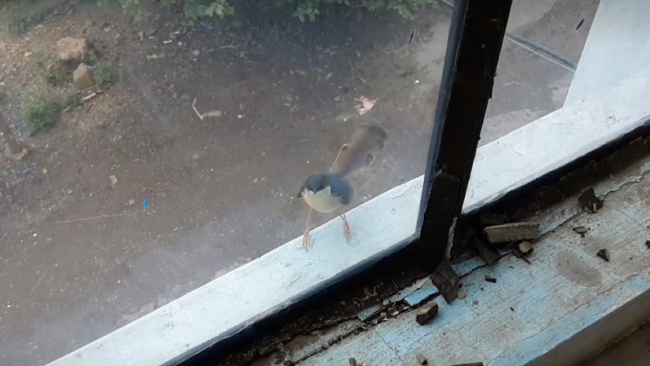 You cannot enter my house 😜 - YouTube