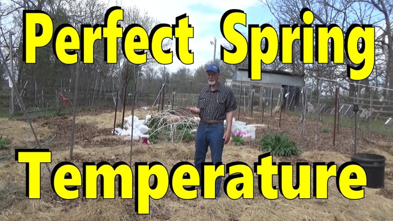 Spring Temperature Is Key To A Successful Garden - YouTube