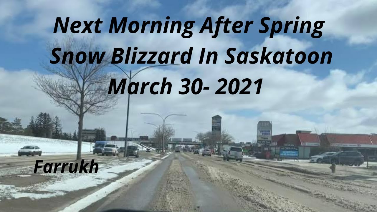 Next Morning After Spring Snow Blizzard In Saskatoon saskatchewan ...
