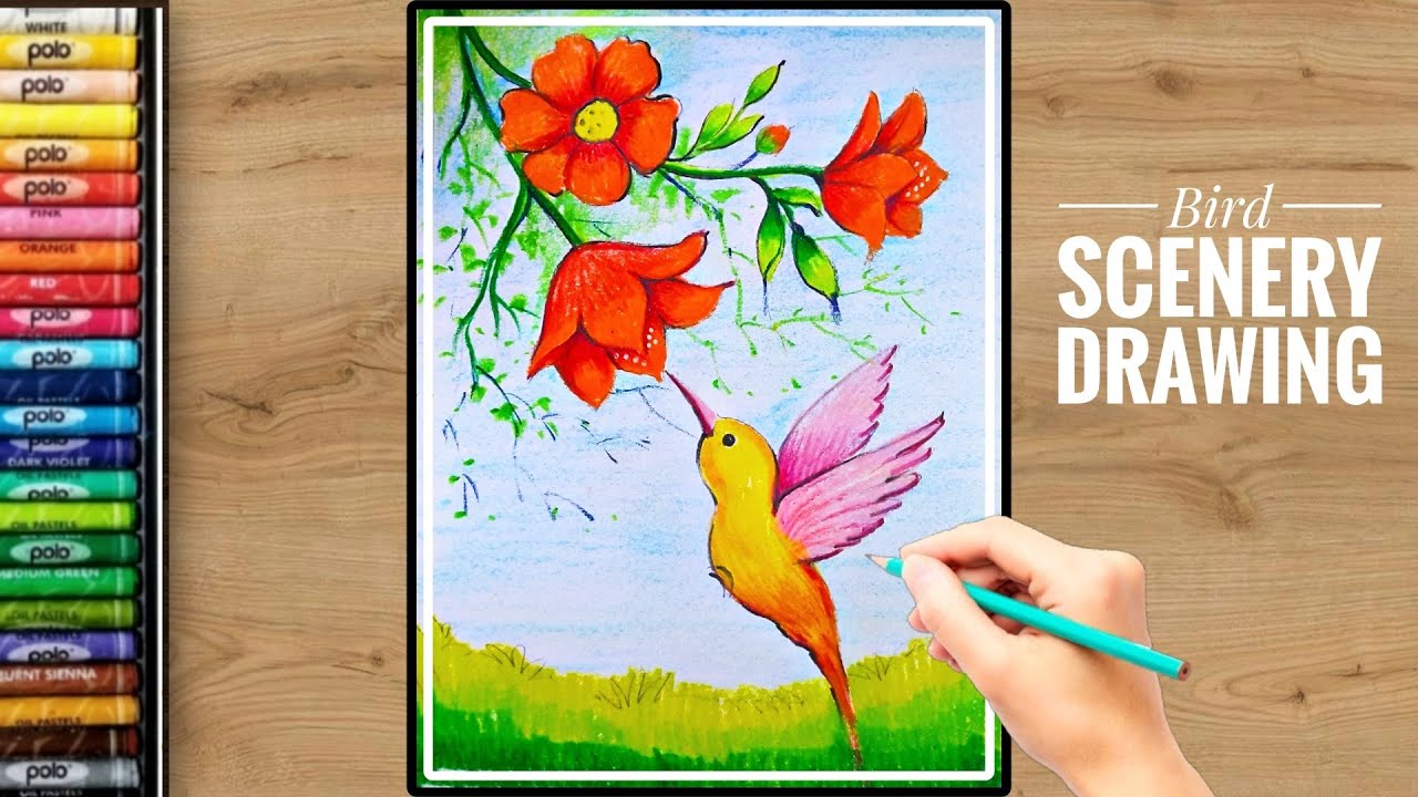 Bird scenery drawing / Bird and flower scenery drawing easy - YouTube