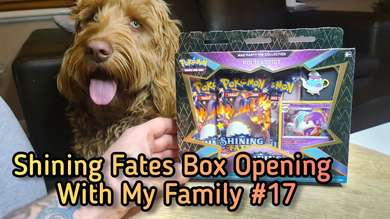 Opening a SHINING FATES MAD PARTY PIN BOX With My Family #17 - 3 ...