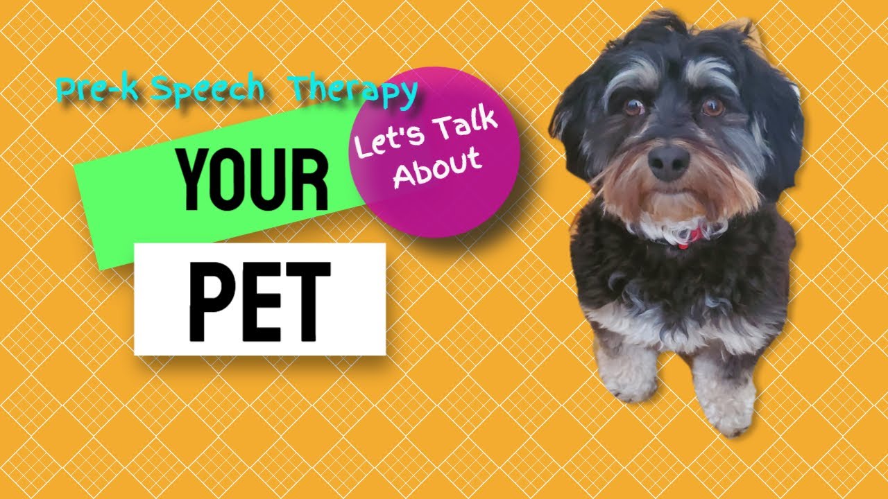 Pre-K Speech Therapy. Let's Talk About your PET. Language Therapy - YouTube