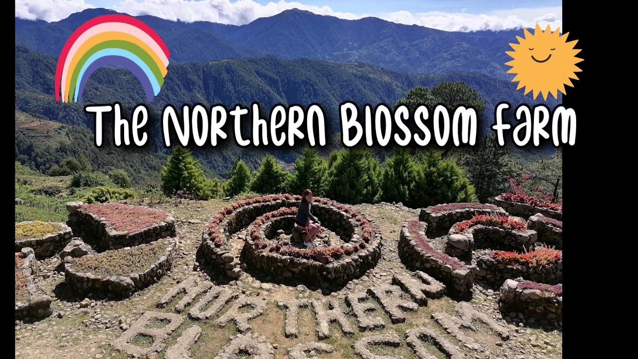 The Northern Blossom Flower Farm - YouTube