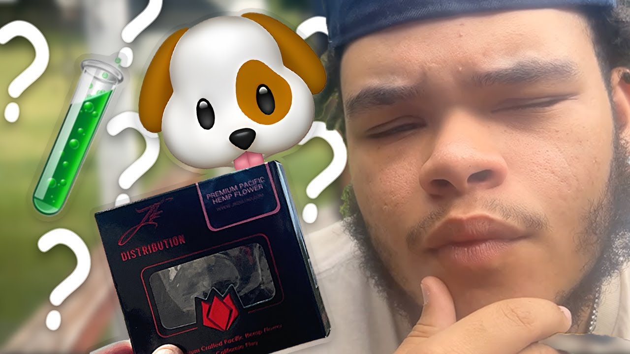 The Best $50 Ounce Ever??? JK Distro Chem Dawg 91 THCA Review - YouTube