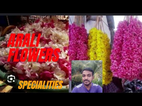Arali flowers Specialities/Nerium/Apocynoideae/Temple flower/Kerala ...