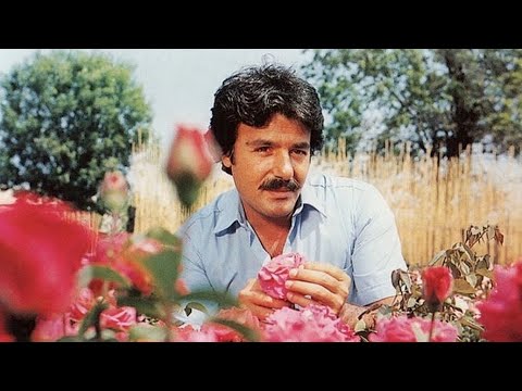 Ferdi Tayfur - Baharım Solmadan Eskidi Ömrüm