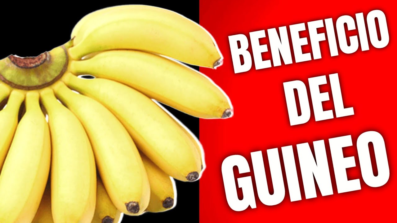 10 propiedades y beneficios del guineo guía completa 2024 – PZGI