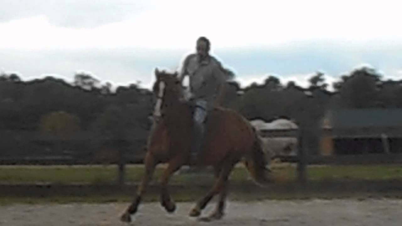 Sheeder Mill Farm - YouTube