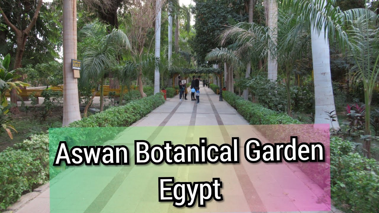 Aswan Botanical Gardens Egypt - YouTube