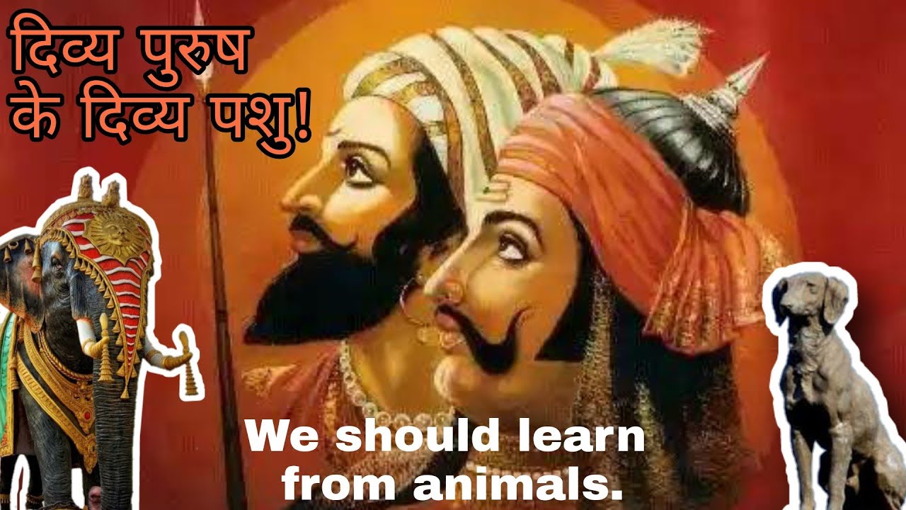 Story of Waghya and Ramprasad | we should learn from animals. | Right ...