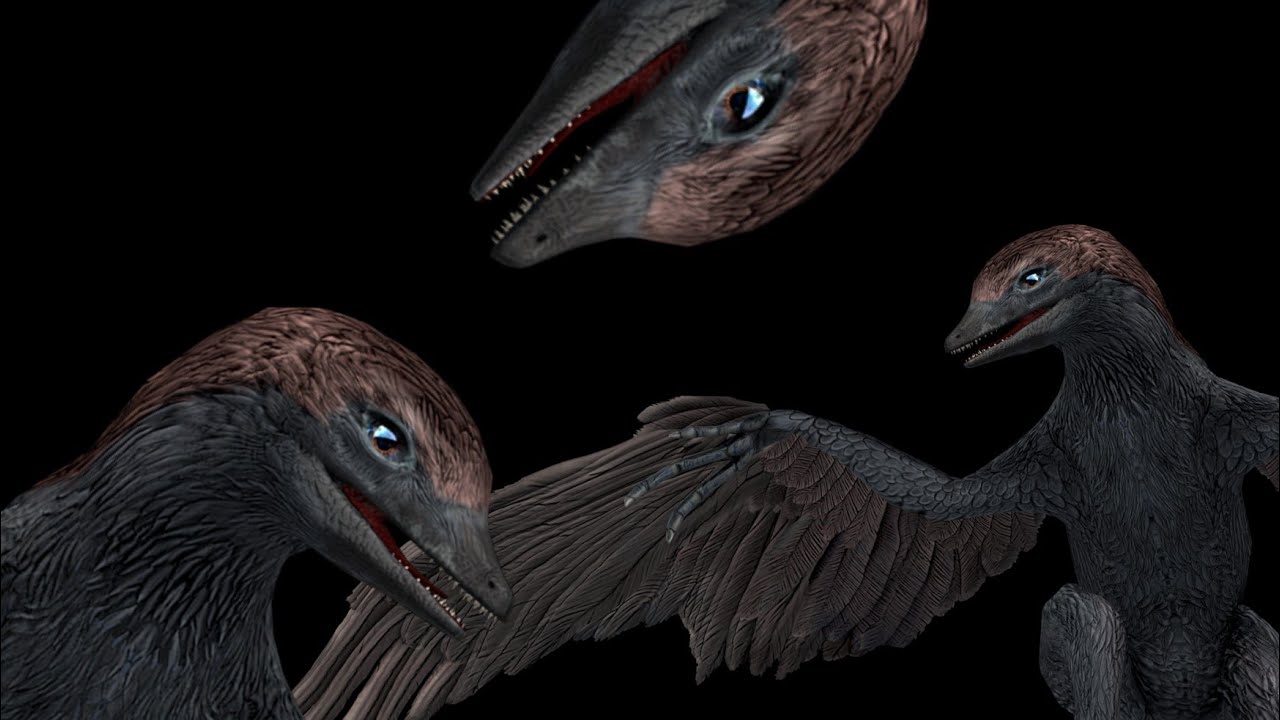 Microraptor Unlocked - Jurassic World Alive - YouTube